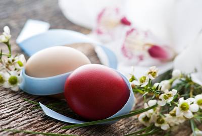 How to Have a Zero-Waste Easter Party | Treeliving