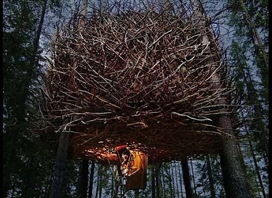 Tree Hotel In Sweden Features Bird Nest Room | Treeliving
