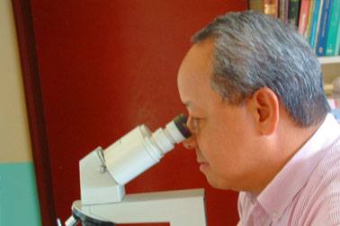 Top 10 Science Stories of 2011 According to Los Alamos National ...