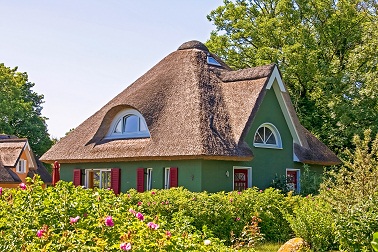 The Basics of Biomass Roofing | Treeliving